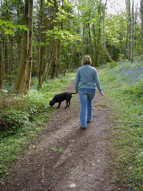 Julie Letton is fundraising for Macmillan Cancer Support