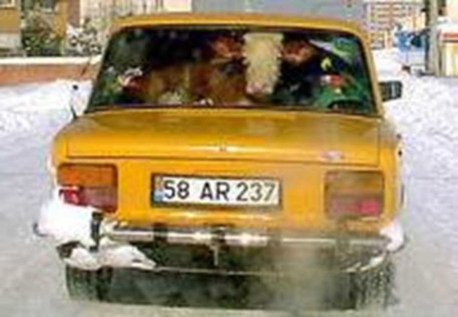 Patrick Mester is fundraising for Frank Water Projects