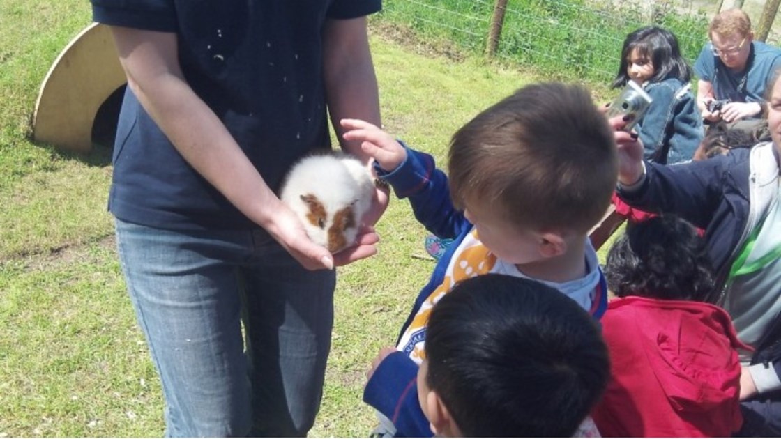 Diane Wilde is fundraising for Dodford Children's Farm