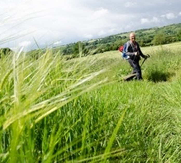 Hannah Cronin is fundraising for Multiple Sclerosis Society