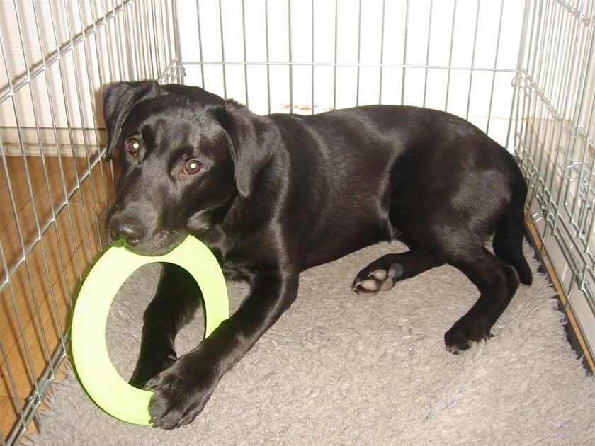 Angus Colwell is fundraising for WWF-UK