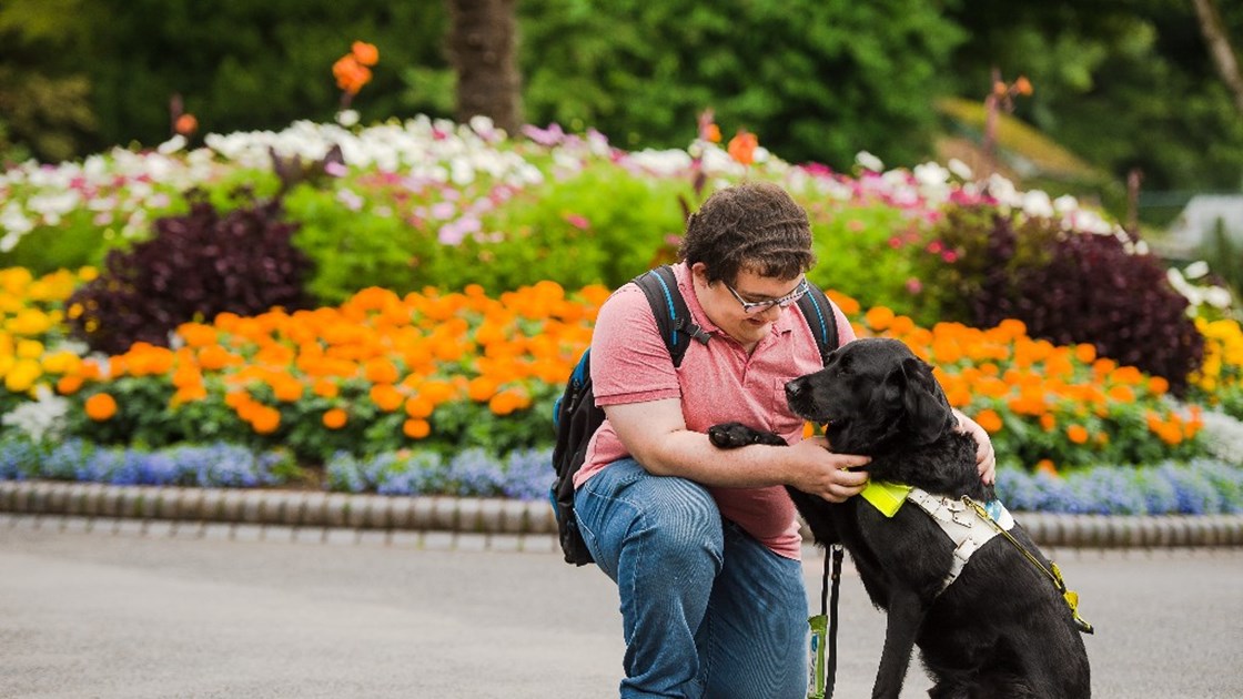 collection box is fundraising for Guide Dogs