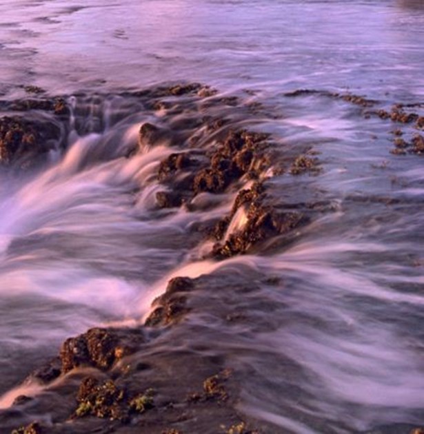 jenna ware is fundraising for British Lung Foundation Wales