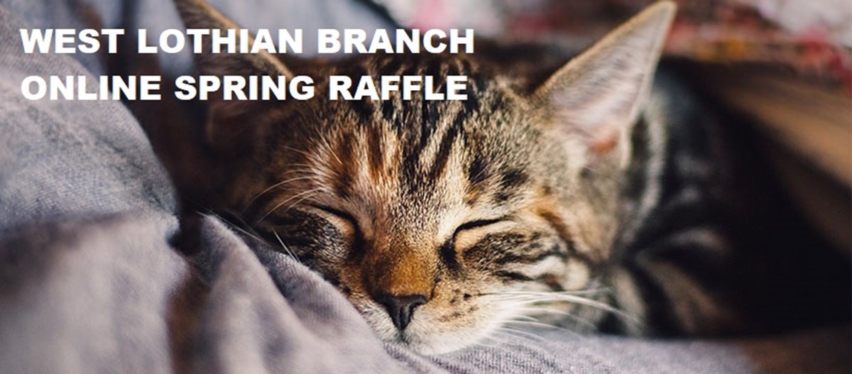 West Lothian Cats Protection Branch is fundraising for Cats Protection