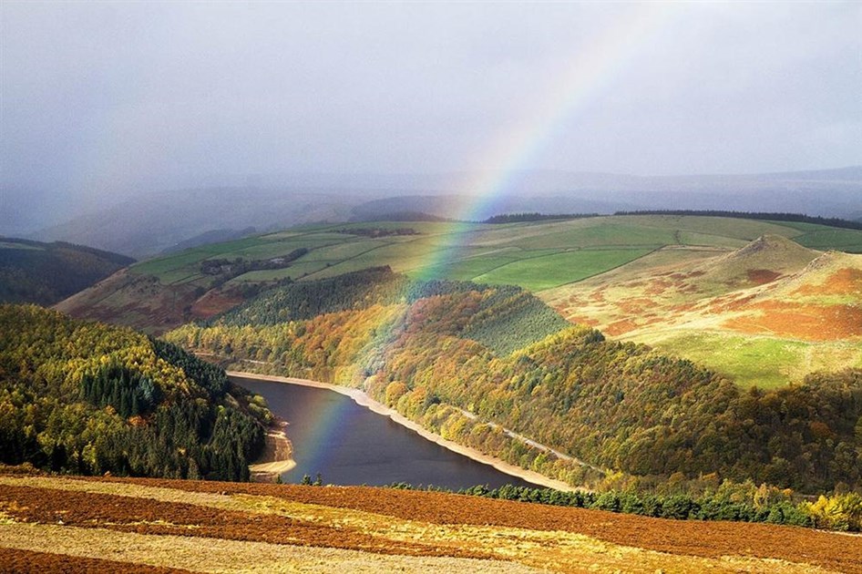 Matt Sixsmith is fundraising for WellChild