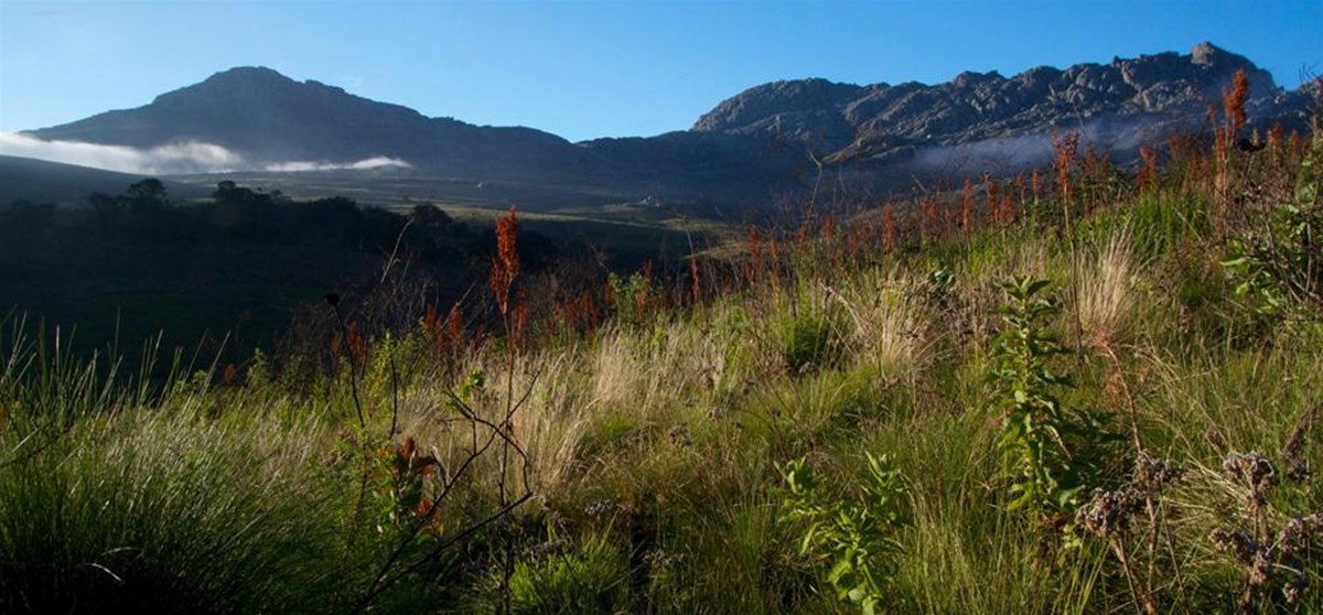 jennifer ahrens is fundraising for Scotland Malawi Mental Health ...