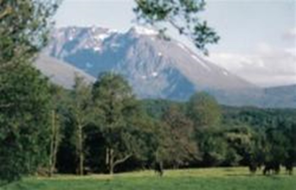 Faaria Ahmad is fundraising for Muslim Aid (OLD)