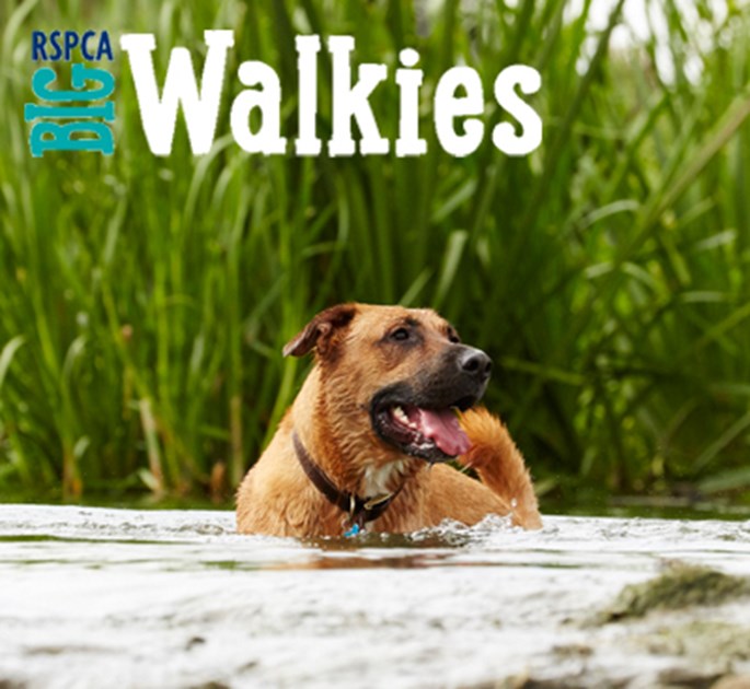 Pia grace Highfield is fundraising for RSPCA