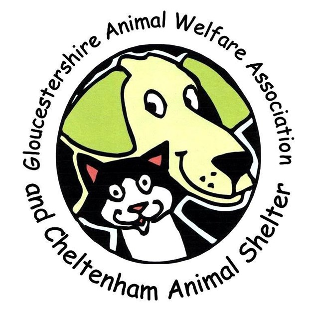 ANDREW VASEY is fundraising for Cheltenham Animal Shelter
