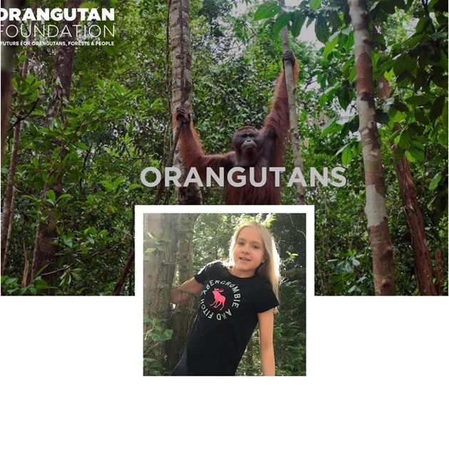 Sascha Mitchell is fundraising for Orangutan Foundation