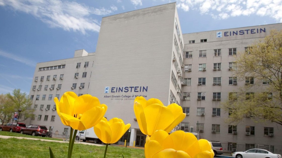 Jessica Hecht is fundraising for Albert Einstein College of Medicine