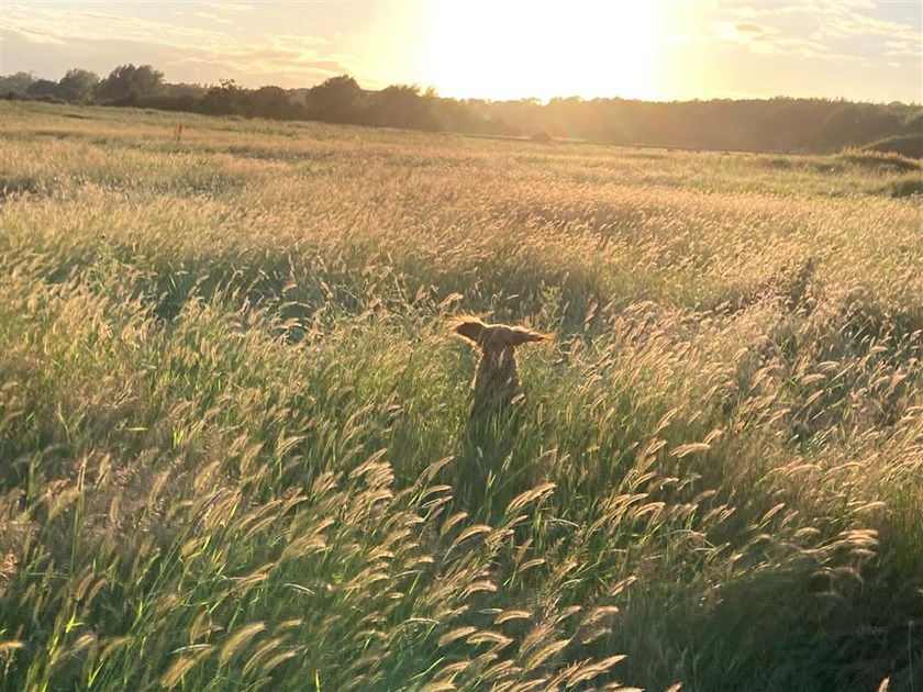 Justin Maude is fundraising for British Heart Foundation