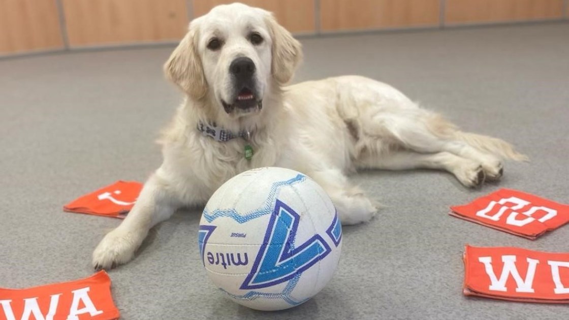 Oxfordshire Netball Development Board is fundraising for Dogs For Good