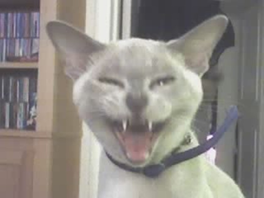 Chloe Forsyth is fundraising for Emerge Poverty Free