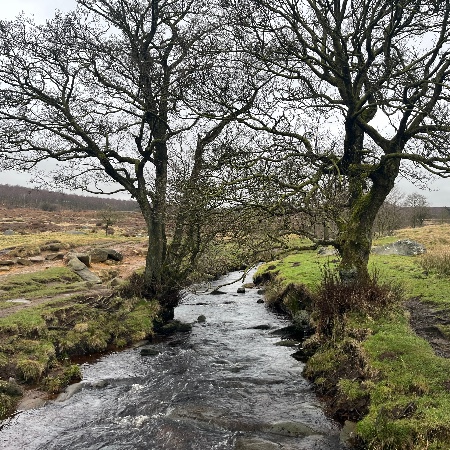 Charlie Piggott is fundraising for The Myton Hospices