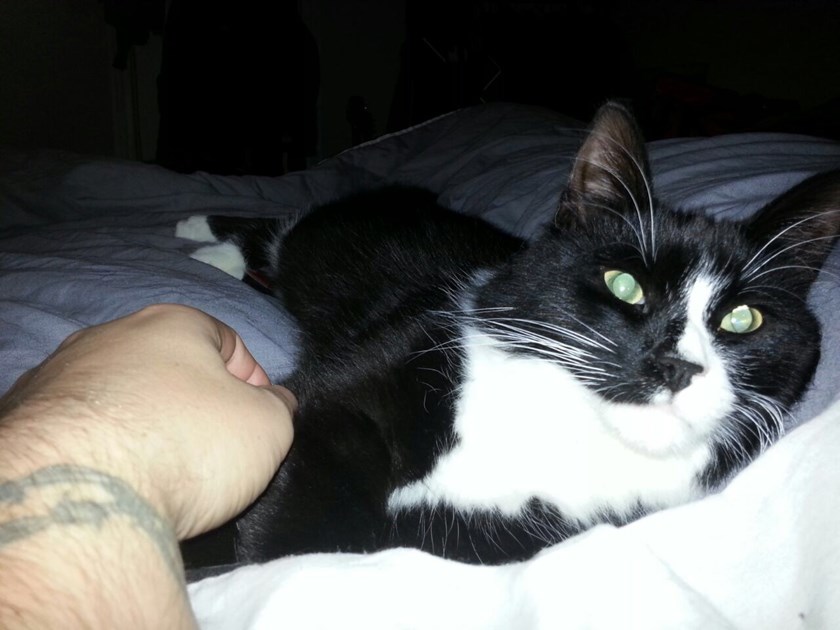 Barry Wheatley is fundraising for Bryson's Animal Shelter