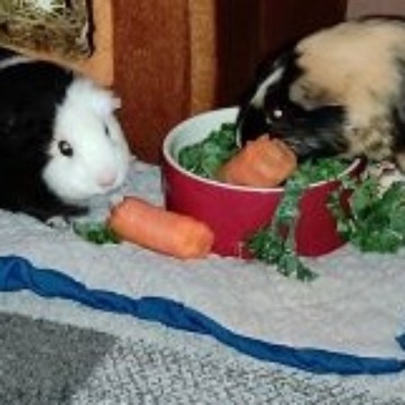 Team fundraising for The Springboard Charity is fundraising for The ...