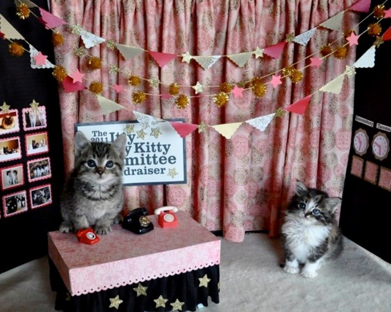 Jane Yeh is fundraising for The Poetry Society