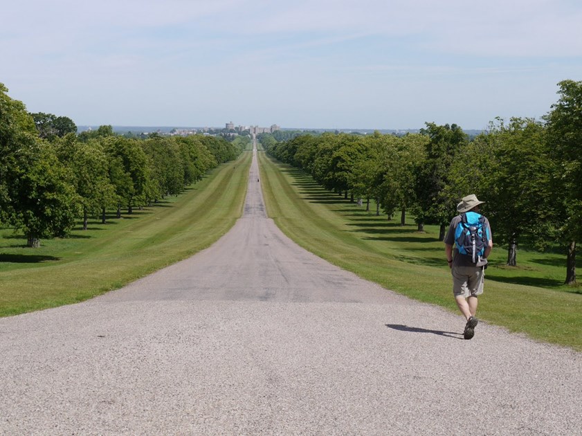 Steven Sharman is fundraising for Prospect Hospice