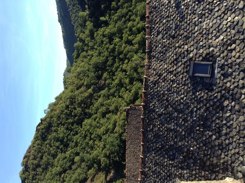 Catherine Convery is fundraising for Multiple Sclerosis Society