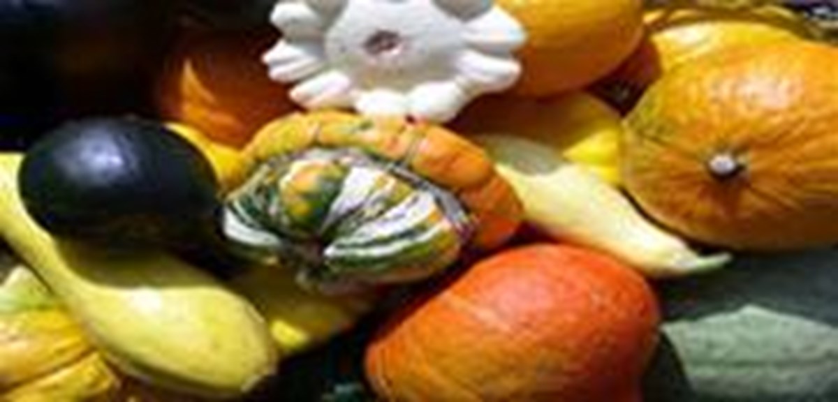 Robert Coates is fundraising for The Prospects Trust