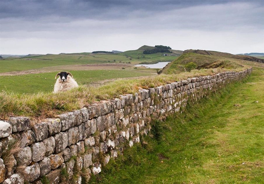 hamish paterson is fundraising for Cancer Research UK