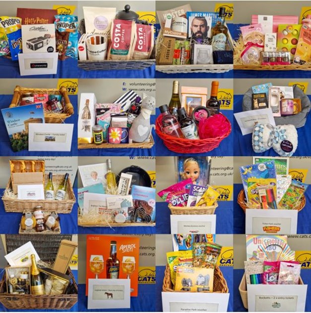 National Cat Adoption Centre Cats Protection is fundraising for Cats ...