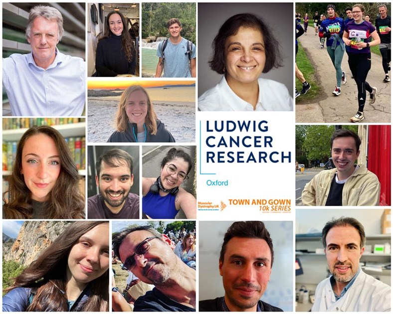 Ludwig Institute for Cancer Research is fundraising for Cancer Research UK