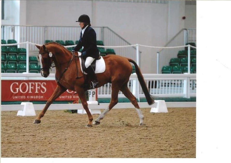 Ann Bostock is fundraising for The British Horse Society