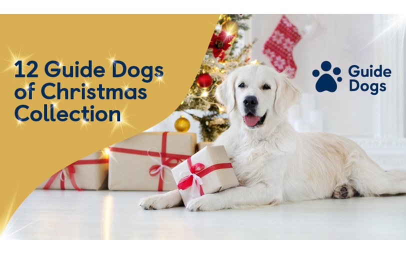 Virtual Collection is fundraising for Guide Dogs