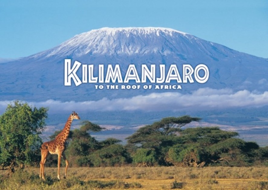 Holly Caley is fundraising for Smile for Life Children's Charity