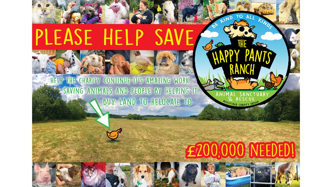 Reece Ive is fundraising for the happy pants ranch