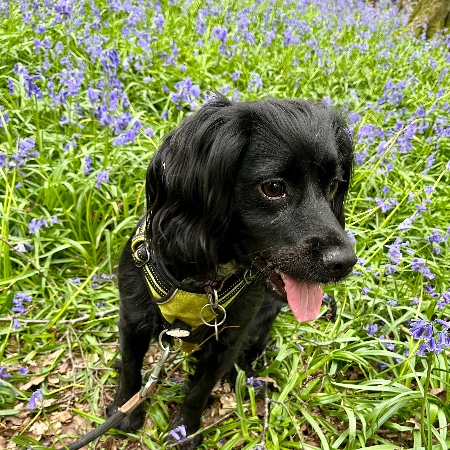 Emma Green is fundraising for The Aspinall Foundation