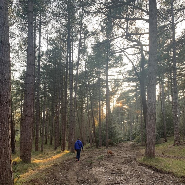 David Fricker is fundraising for Macmillan Cancer Support