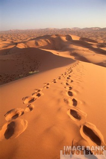 Violet Webb is fundraising for Parkinson’s UK