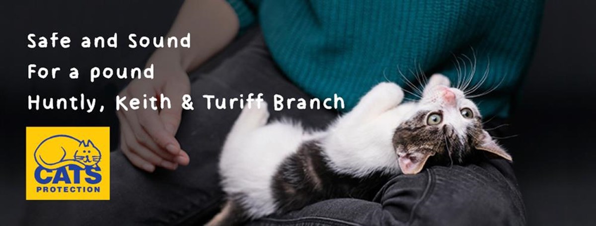 Huntly, Keith & Turrif Cats Protection Branch is fundraising for Cats ...