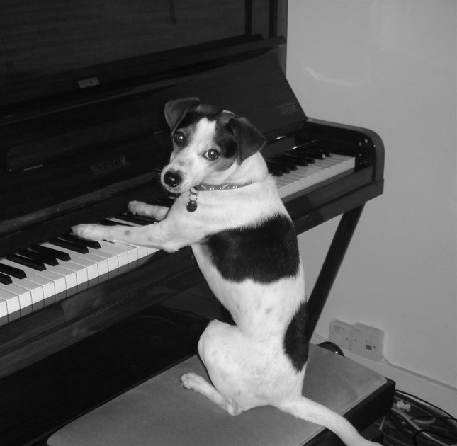 Jonathan Slatter is fundraising for Bath Cats and Dogs Home