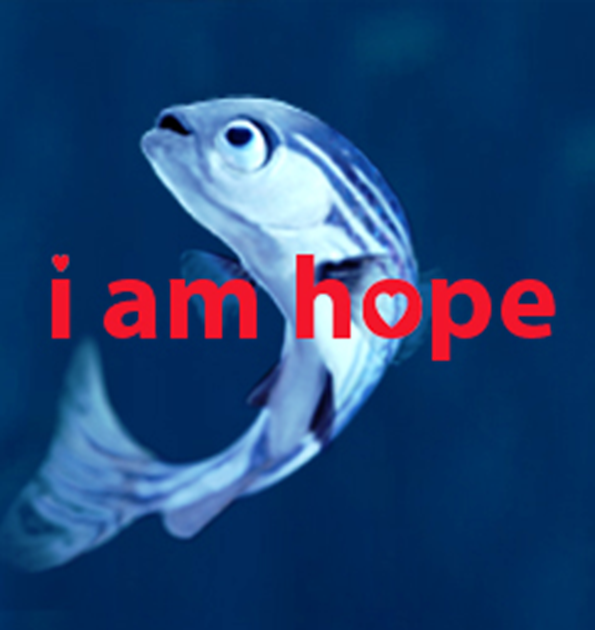 Rebecca Key is fundraising for British Heart Foundation