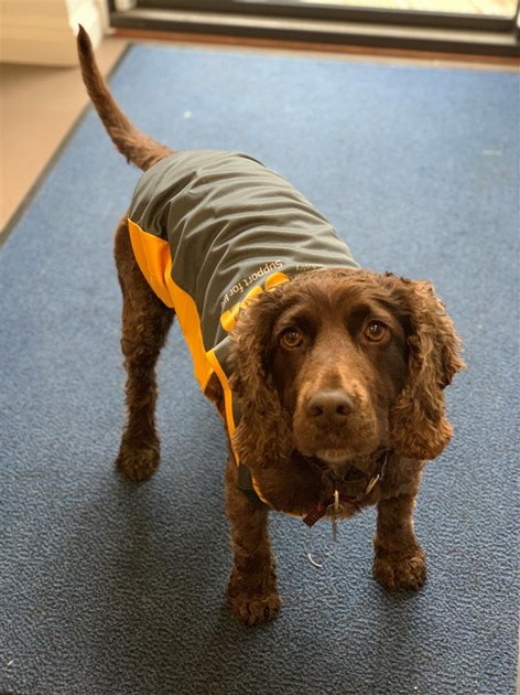 Joanne Bowie is fundraising for Ben Support For Life