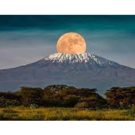 Neil Button is fundraising for Mind