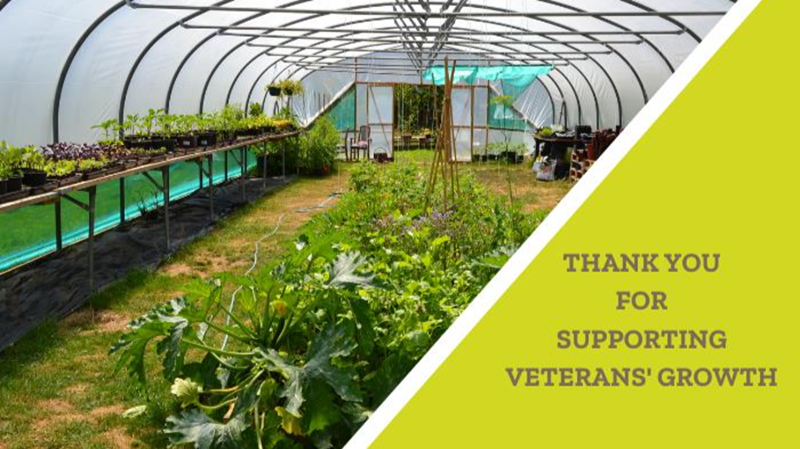 Hayley Kenward is fundraising for Veterans' Growth