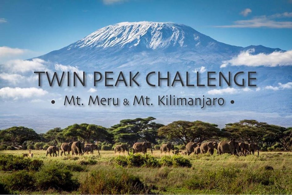 Annabelle Nunn is fundraising for Wild Survivors