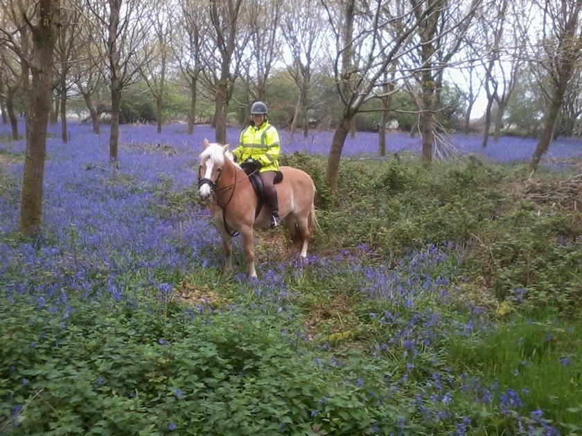 Ann Plumb is fundraising for Macmillan Cancer Support