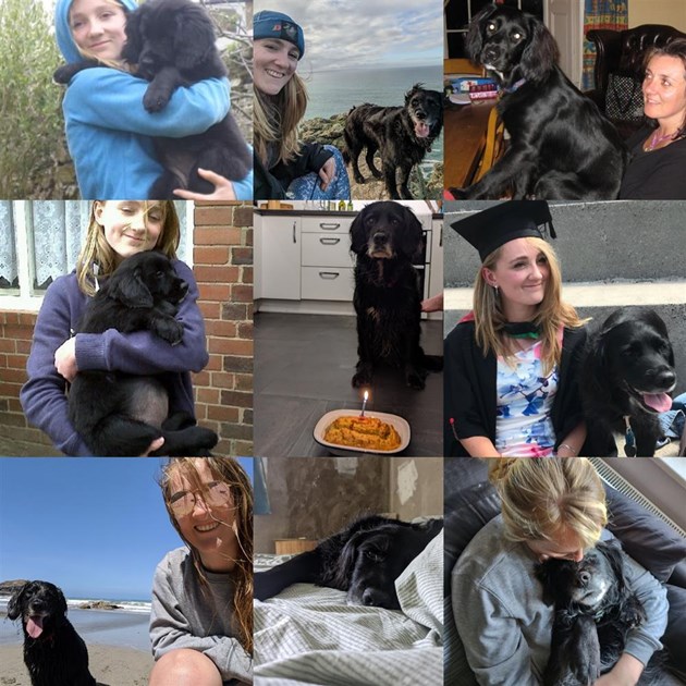 Lydia Hawkins is fundraising for Battersea