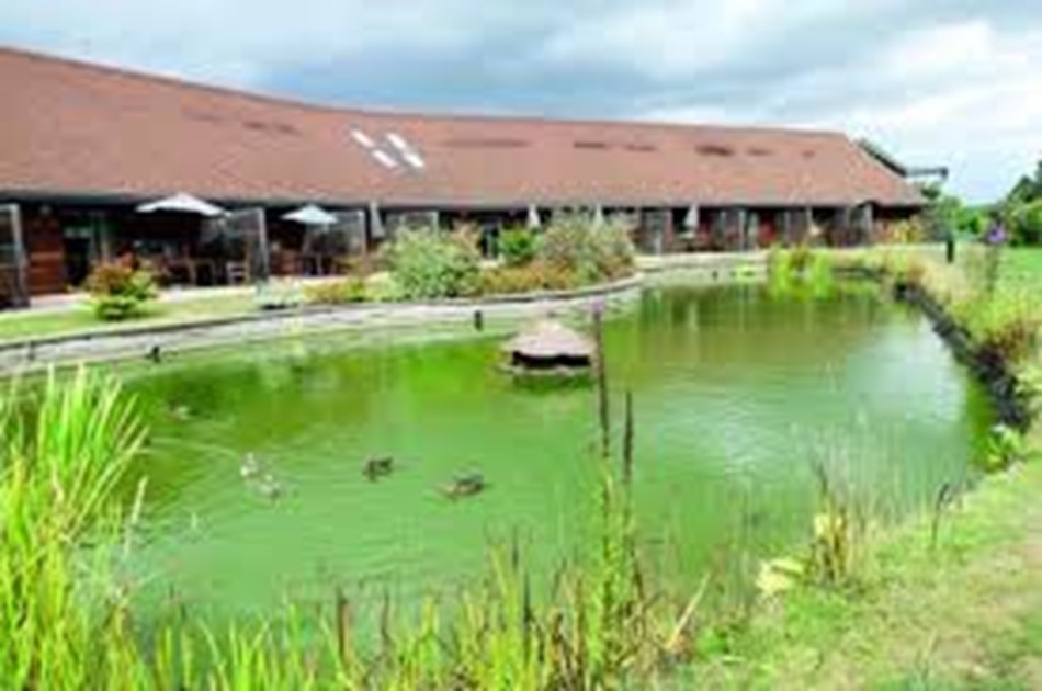 Frank Saladino is fundraising for St Richard's Hospice Foundation