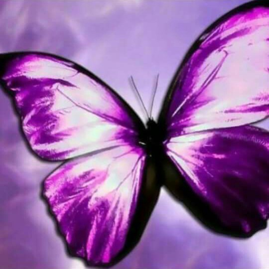 David Mudway is fundraising for Birmingham Children’s Hospital Charity