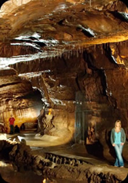 Cwm Clydach Kites and Dippers is fundraising for RSPB