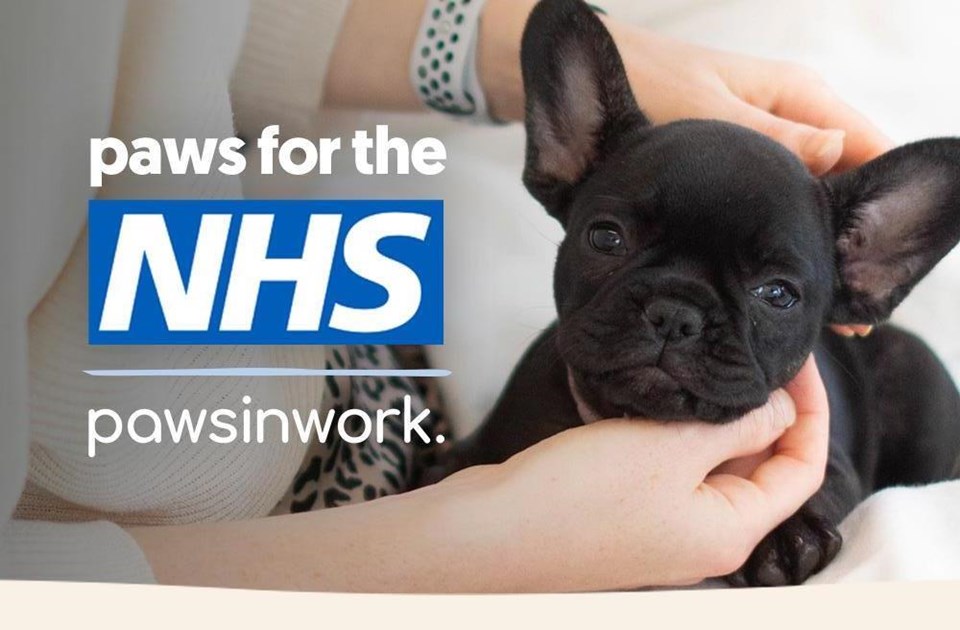 Paws in Work ‏‏‎ ‎ is fundraising for NHS Charities Together