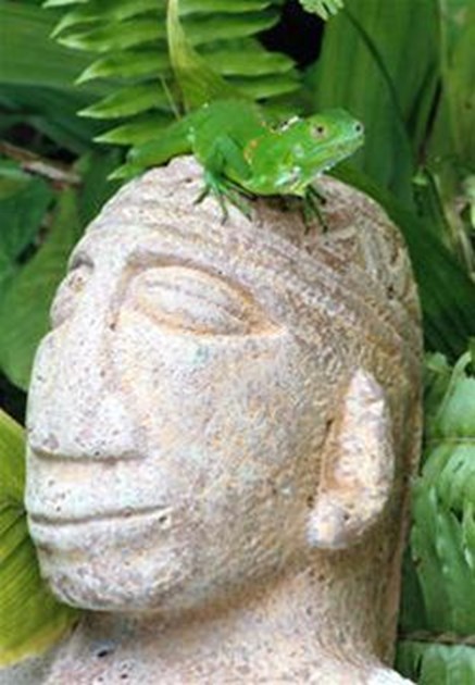 Annette MacLeod is fundraising for Muscular Dystrophy UK