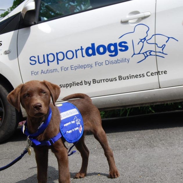 Anna-Maria Bains is fundraising for Support Dogs Ltd